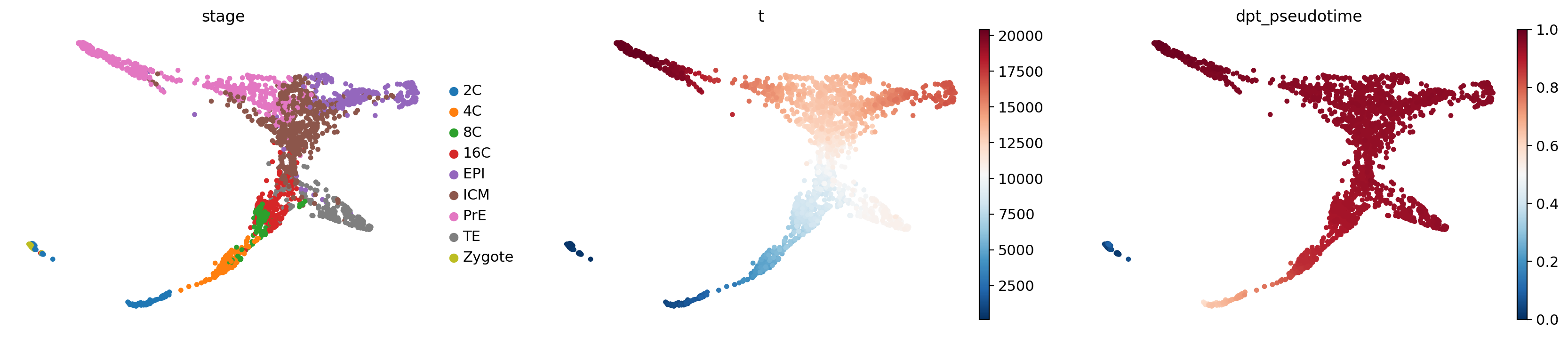 proks-salehin-et-al-2023 - 04 - CellRank