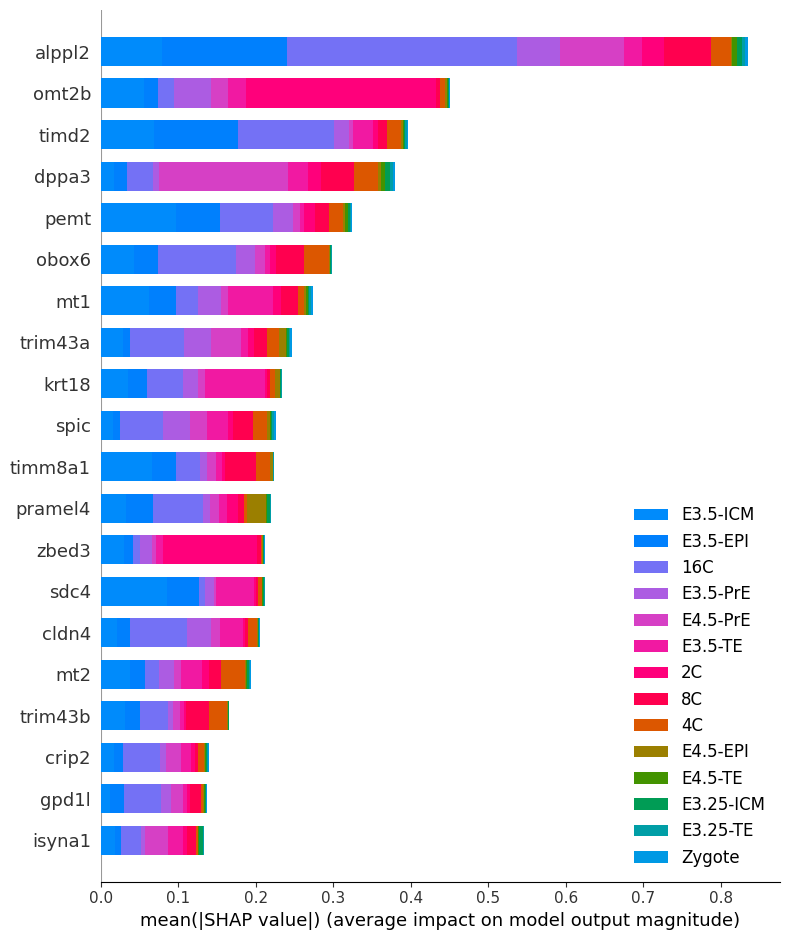 proks-salehin-et-al-2023 - SHAP explainers for SCANVI proks-salehin-et-al-2023 - SHAP explainers for SCANVI